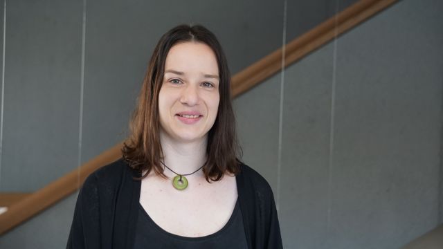 Schule Altstätten - Schuleinheit Feld